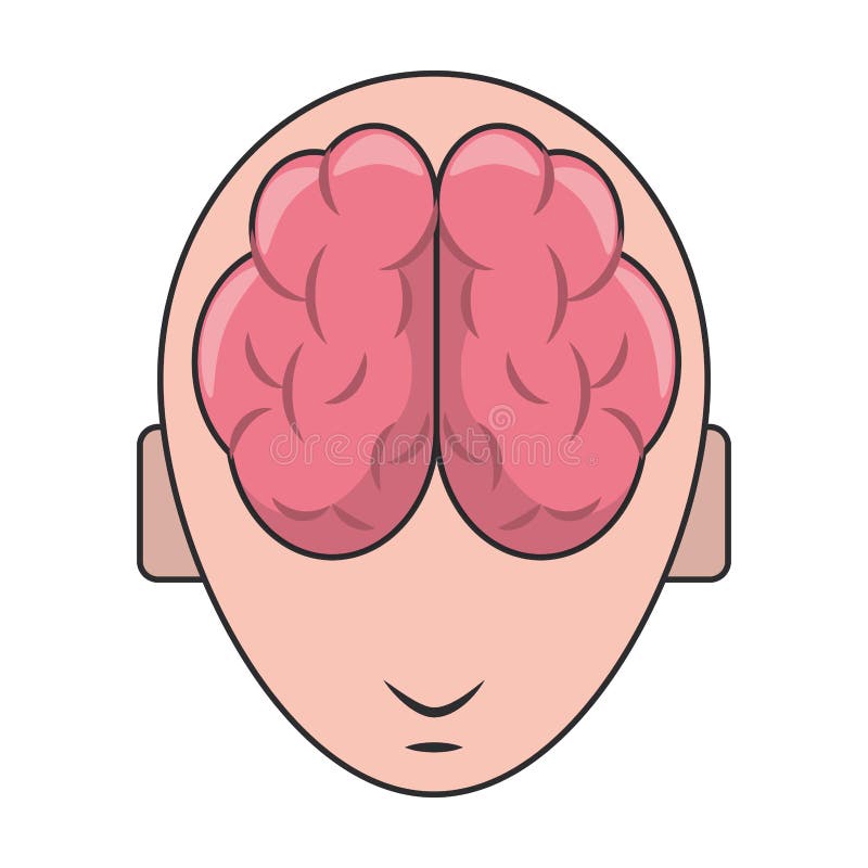 Human brain cartoon stock vector. Illustration of idea - 146865637
