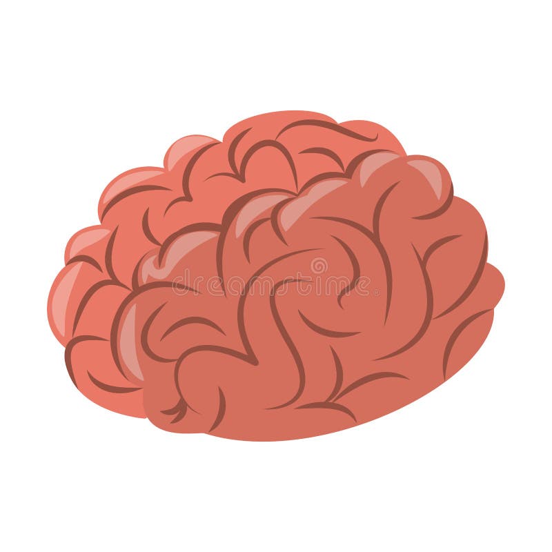 Human brain cartoon stock vector. Illustration of intellectual - 123876058