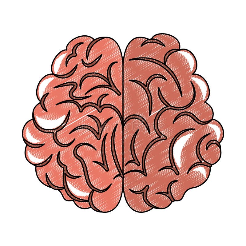 Scribble Brain, Hands Untangling Mind Thread, Problem Solving Metaphor ...