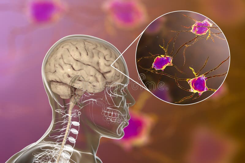 Human Brain with Closeup View of Brain Cells, Neurons Stock ...
