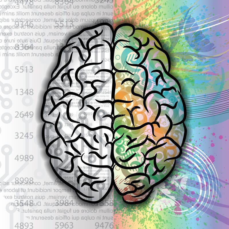 Human brain color pattern stock vector. Illustration of health - 44606052