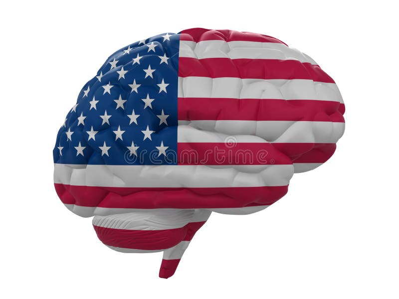 Human Brain is Colored Flag of USA Stock Illustration - Illustration of ...