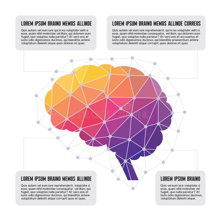 Human Brain - Colored Polygon Infographic Concept Stock Vector ...
