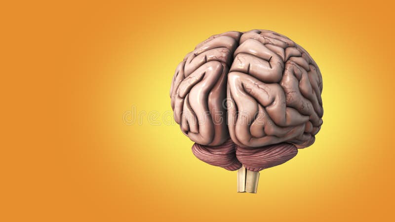 Complex Neuron Network System Work in Brain, Abstract Background ... Complex Neuron Network System Work in Brain, Abstract Background ...