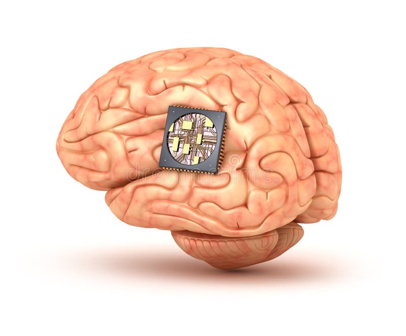 Human Brain with Computer Chip Stock Illustration - Illustration of ...