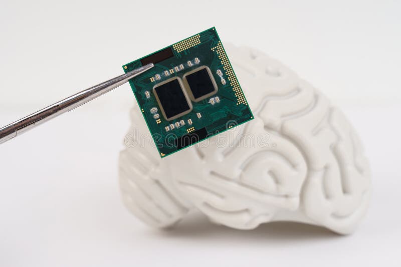 Human Brain and Computer Chip. Stock Image - Image of brain ...