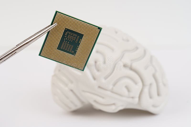 Human Brain and Computer Chip. Stock Image - Image of brain ...