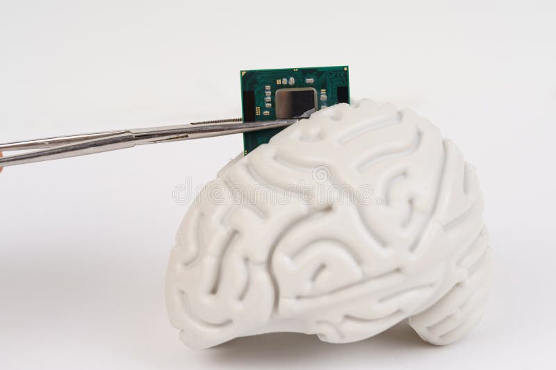 Human Brain and Computer Chip. Stock Image - Image of brain ...