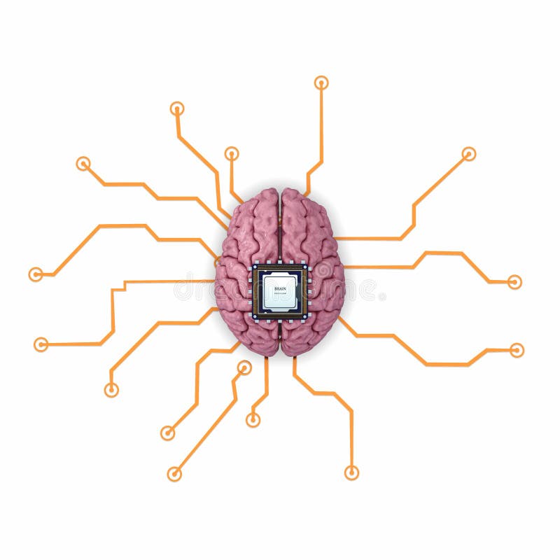 Human Brain with Computer Processor. Stock Illustration - Illustration ...
