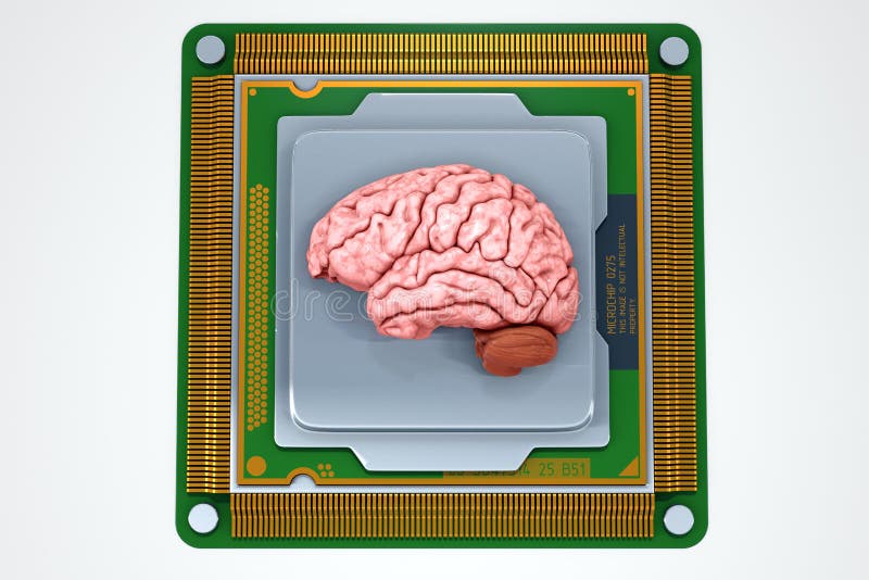 Human Brain with Computer Processor Stock Illustration - Illustration ... Human Brain with Computer Processor Stock Illustration - Illustration ...