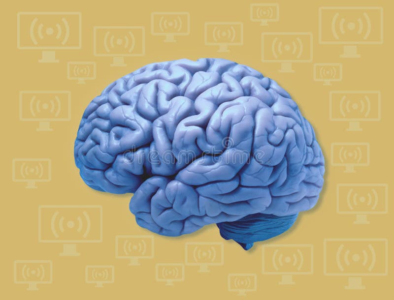 Human Brain and Computers Connect Stock Illustration - Illustration of ...
