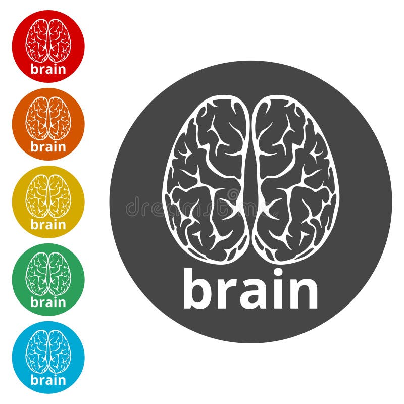 Human Brain Concept, Brain Logo Design Vector Template Stock Vector ...