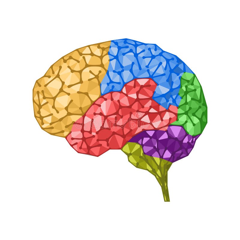 Human brain concept stock vector. Illustration of sign - 70153716