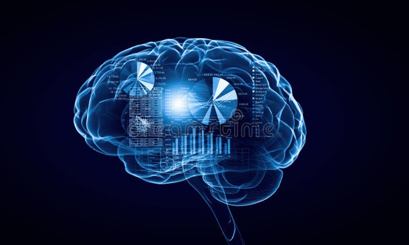 Human brain stock illustration. Illustration of intelligent - 33194966