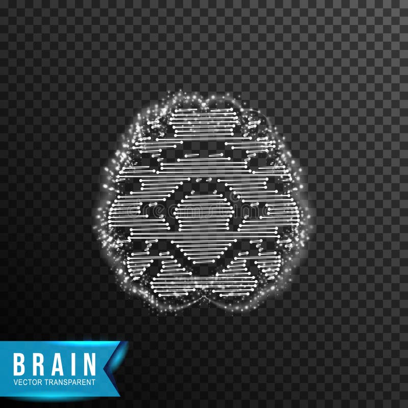 Human Brain, from Connecting Dot and Line. Light Effect Stock ...