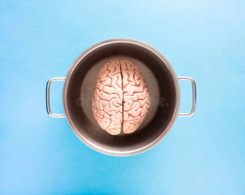 A Human Brain in a Cooking Pot on a Light Blue Pastel Background. Flat ...
