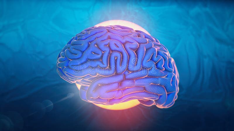 Human Brain 3D Wireframe Science Abstract Art with Blurred Glowing ...