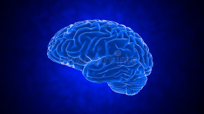 Human brain 3D render stock illustration. Illustration of biology ...