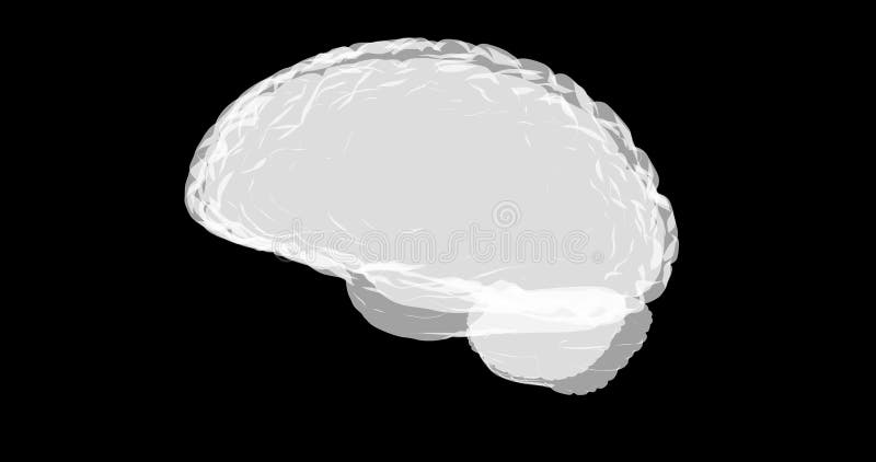 Human Brain 3D Render. Alpha Matte Stock Footage - Video of function ...