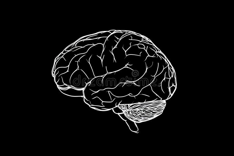 1,336 Ai Brain Transparent Picture Stock Photos - Free & Royalty-Free ...