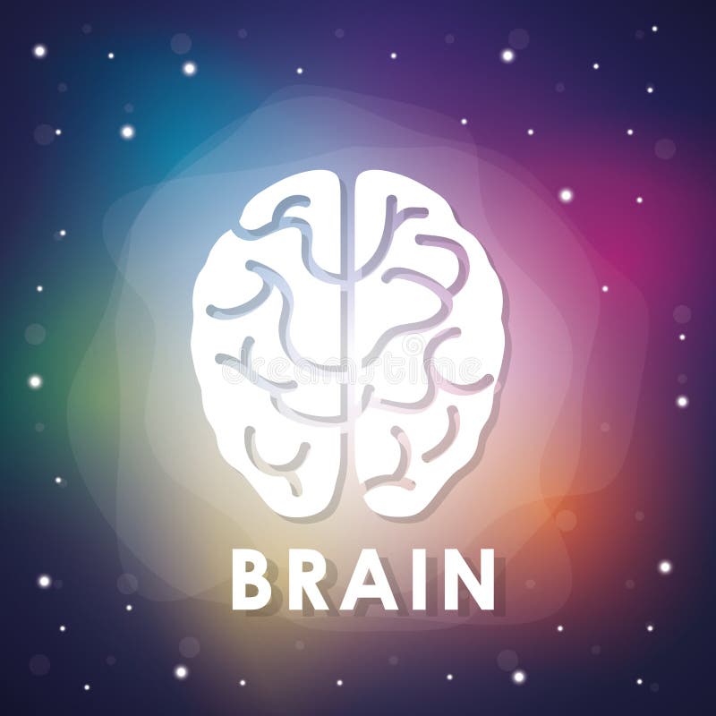 Human brain design. stock vector. Illustration of organ - 58677702
