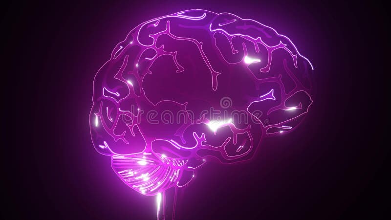 Human Brain Laser Animation Video Stock Video - Video of education ...