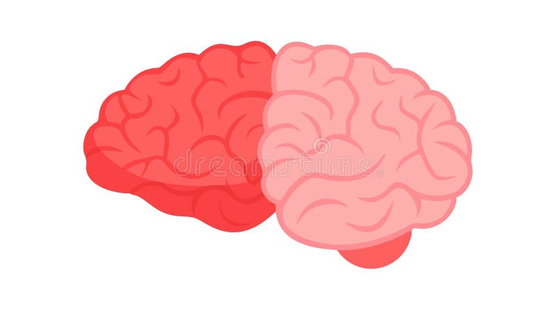 Brain Divided in Six Parts Like Puzzle. Function Zones. Vector Stock ...