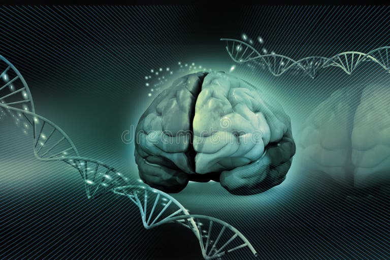 Human brain and dna stock illustration. Illustration of graphic - 29666095
