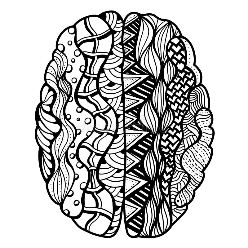 Human Brain doodle stock vector. Illustration of isolated - 65878538