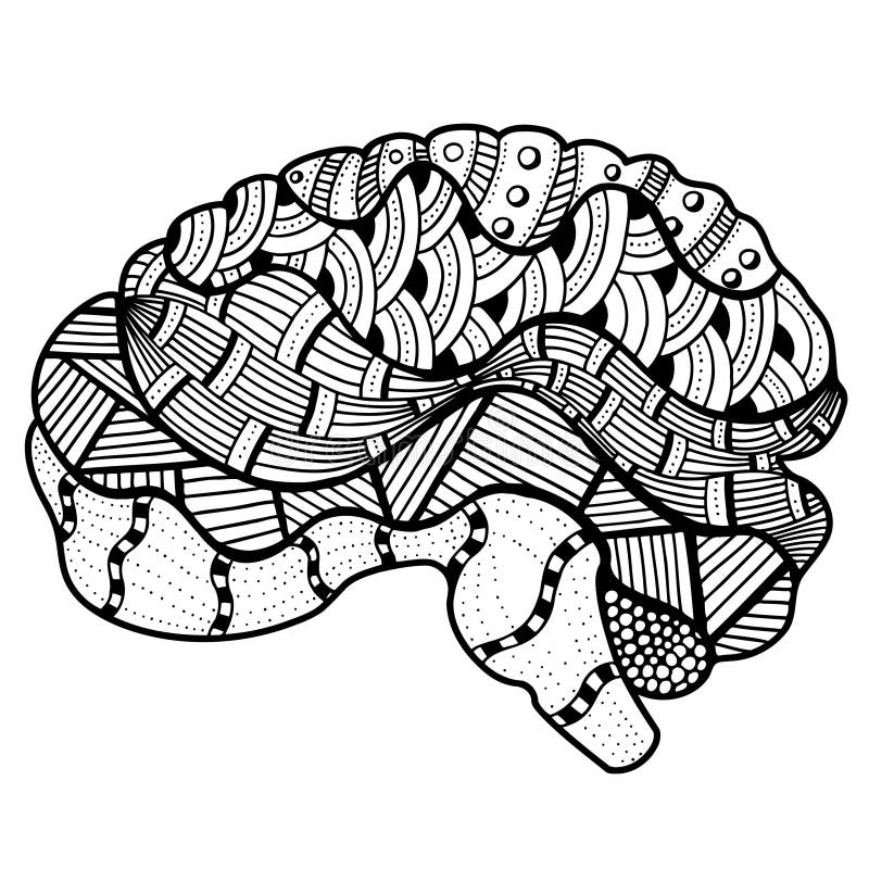 Human Brain doodle stock vector. Illustration of graphic - 65933207