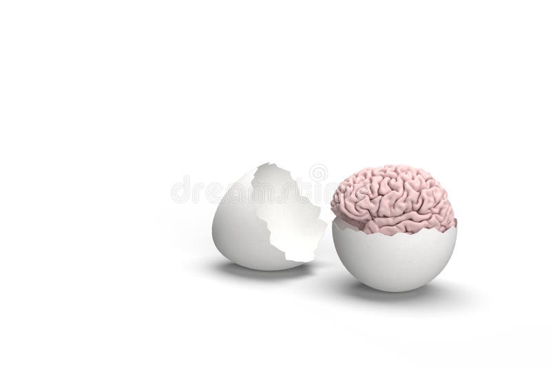 Human Brain Emerging from a Cracked Egg Representing Intelligence and ...