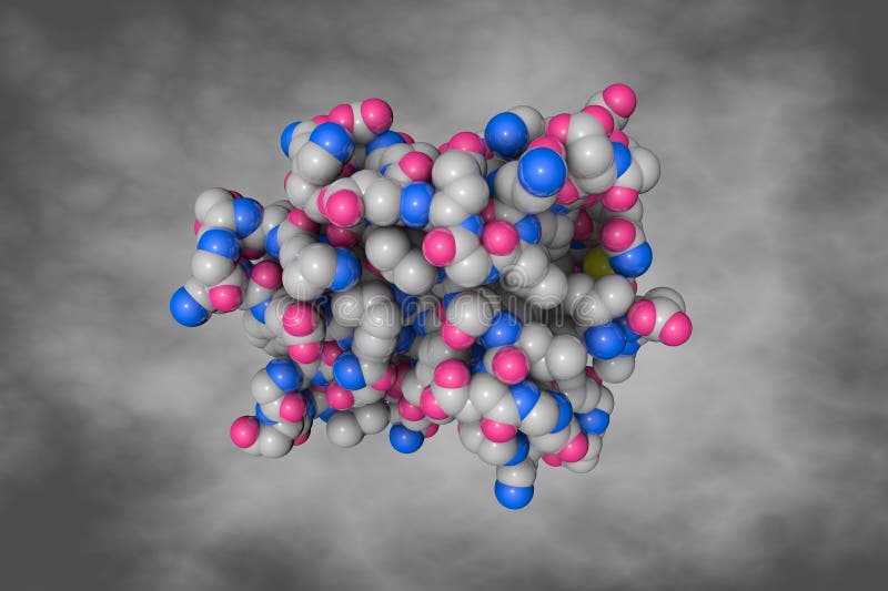 Human Brain Fatty Acid Binding Protein Oleic Acid. Space-filling ...