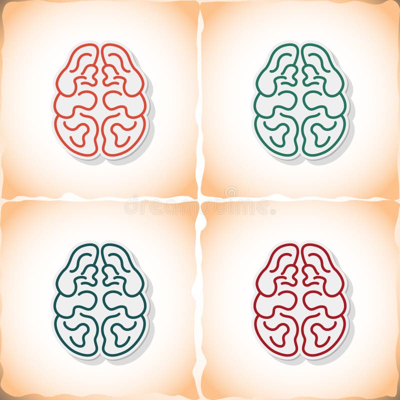 Human Brain. Flat Sticker with Shadow on White Background Stock Vector ...
