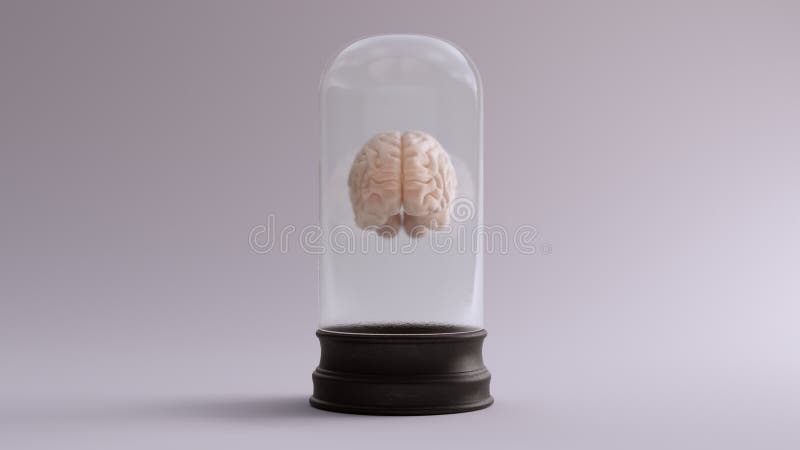 Human Brain Floating in a Bell Jar Stock Illustration - Illustration of ...