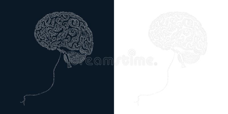 Human Brain Floating Connected by Spinal Cord with Transparent ...