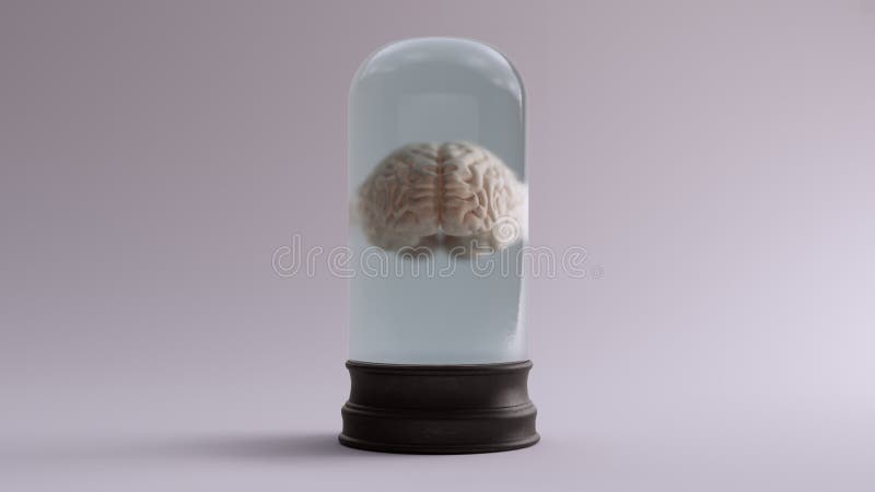 Human Brain Floating in a Liquid in a Bell Jar Stock Illustration ...