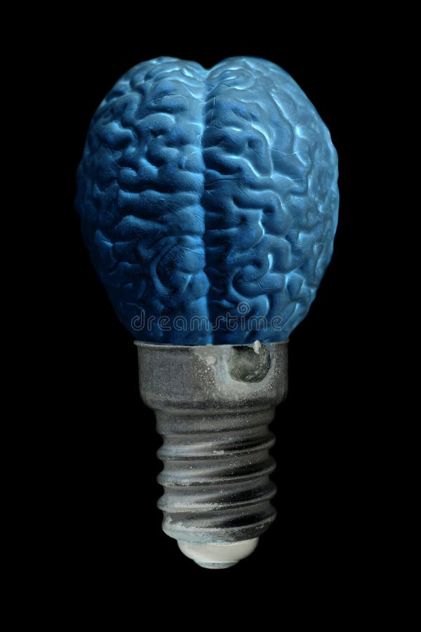 Human Brain in Form of Light Bulb Stock Photo - Image of occipital ...