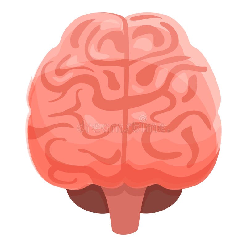 Human Brain Anatomy Icon, Cartoon Style Stock Vector - Illustration of ...