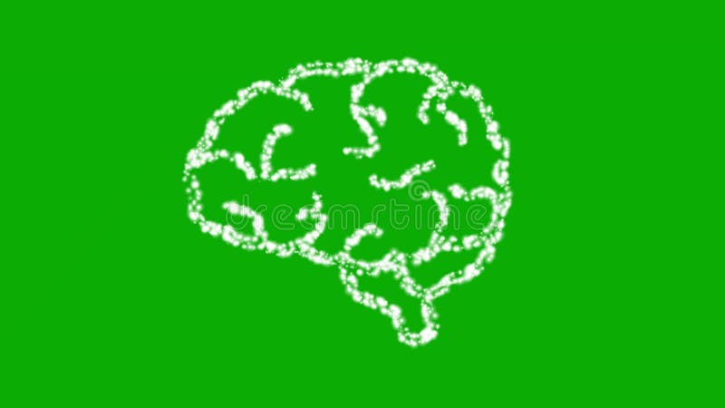 Human Brain with Glitter Particles on Green Screen Background Stock ...