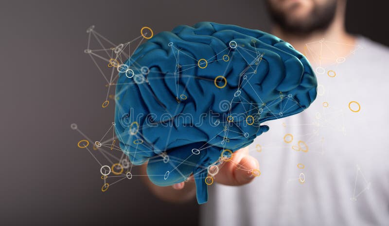 Human Brain in Hands As a Mind, Power, and Energy Concept Stock Image ...