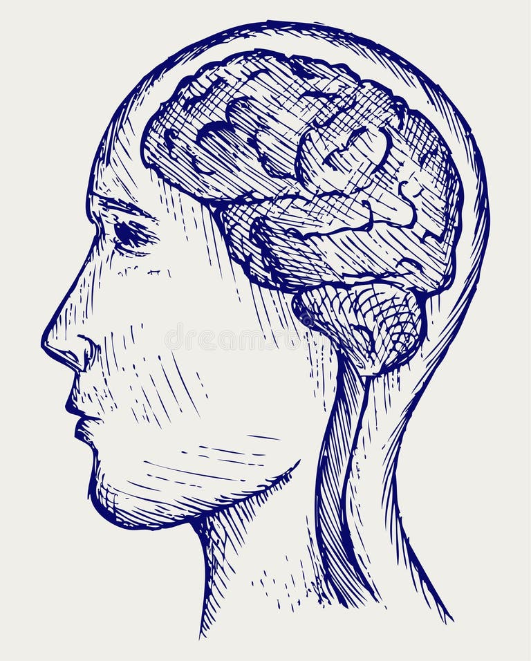 Skill Head Stock Illustrations – 13,292 Skill Head Stock Illustrations ...