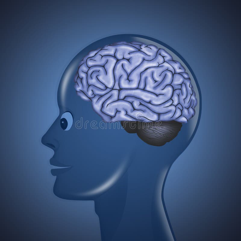 Human brain in the head stock illustration. Illustration of science ...
