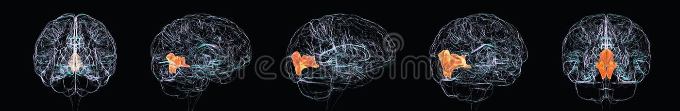 Spatial Orientation Stock Illustrations – 878 Spatial Orientation Stock ...