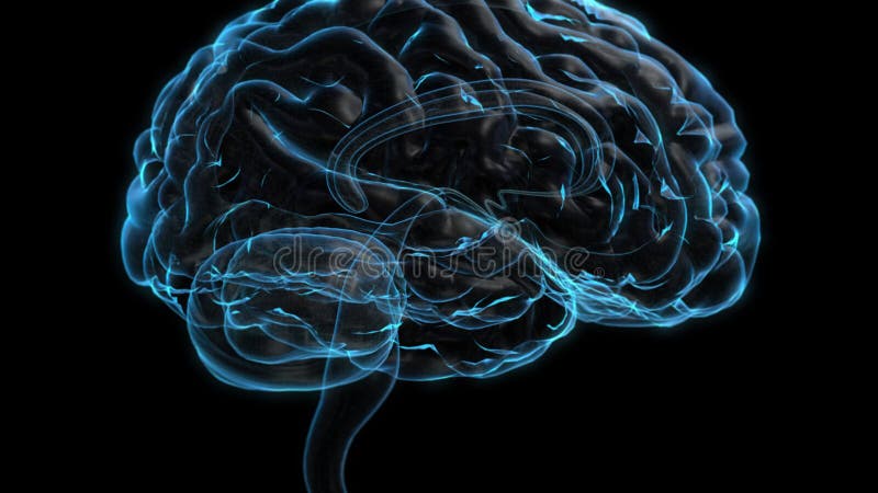 Human Brain Hologram. Polygon Mesh of Human Brain Model Stock Video ...