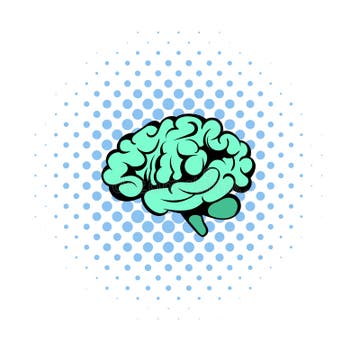 Midbrain Icon Stock Illustrations – 61 Midbrain Icon Stock ...