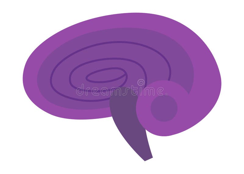 Human Brain Icon. Creation and Idea Concept Element Stock Vector ...