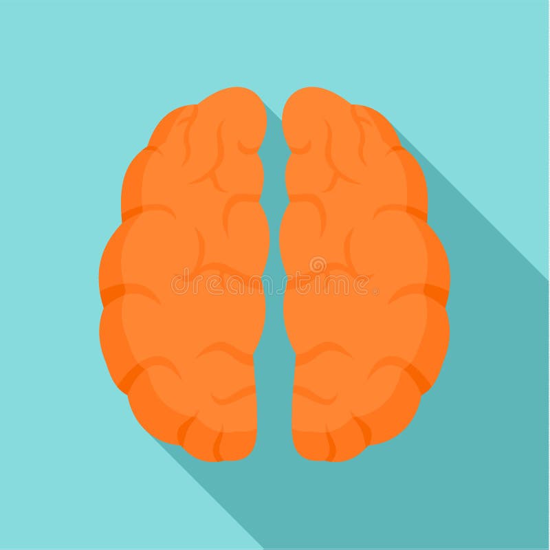 Human Brain Icon, Flat Style Stock Vector - Illustration of draw ...