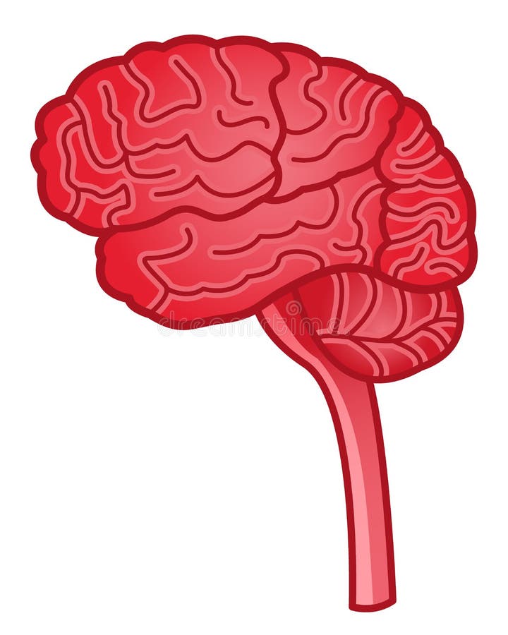 Human brain icon stock vector. Illustration of system - 259854211