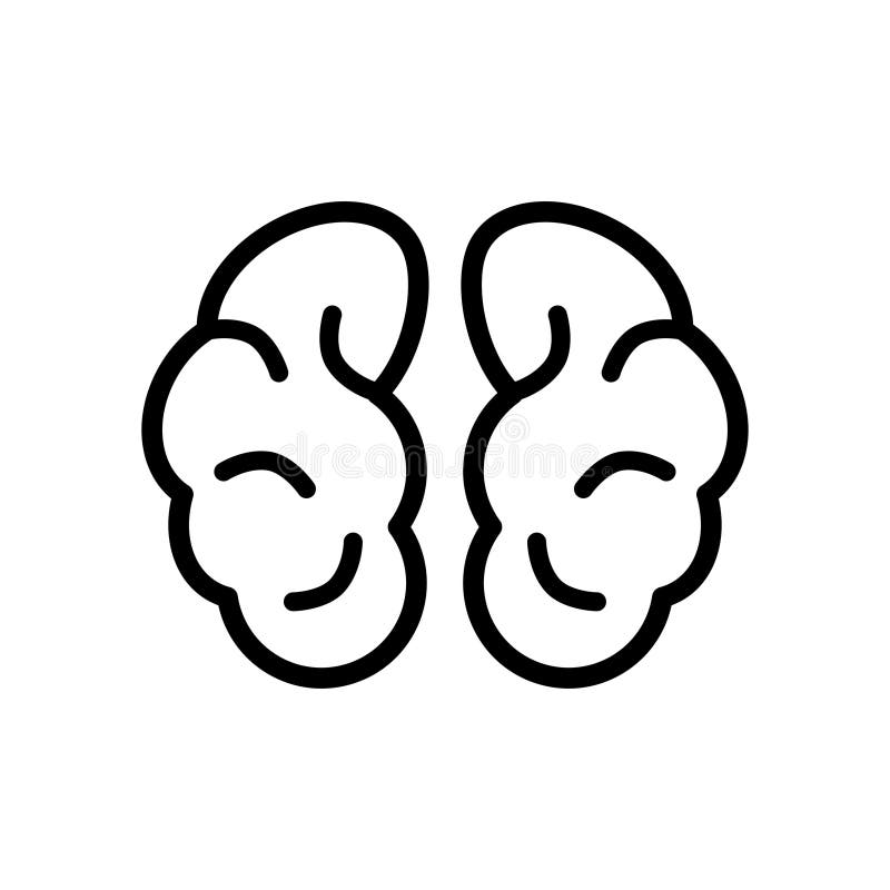 Isolated Brain on White Background, Human Brain. Internal Organ ...