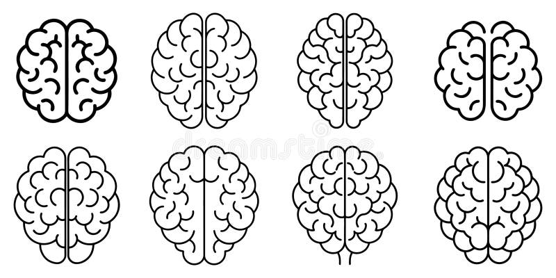 Human Brain Icon Set. Thinking, Mind Refresh Icon Vector Stock Vector ...